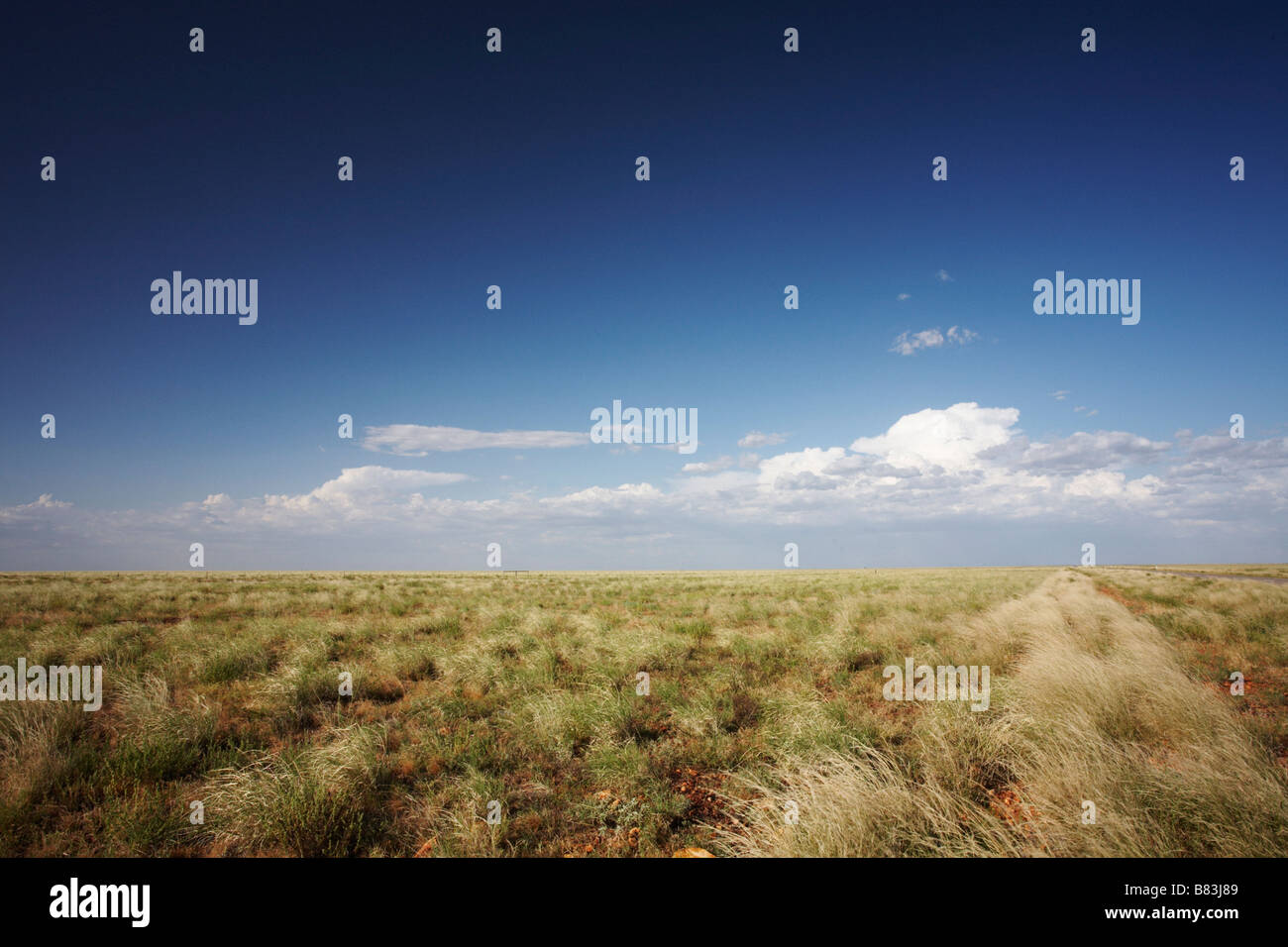 Barkly Tablelands Northern Territory Australia Stock Photo - Alamy