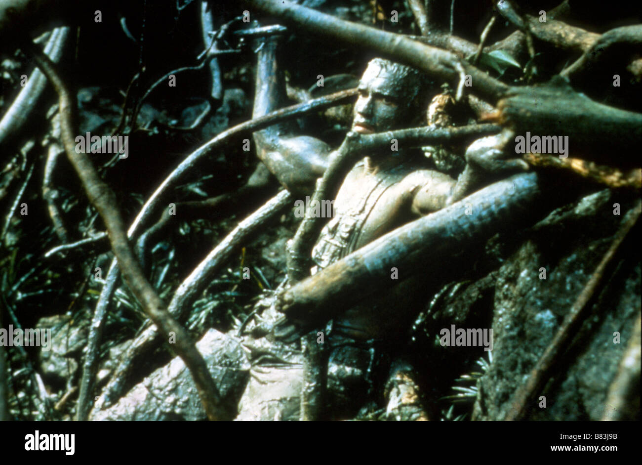 Predator(1987) USA Arnold Schwarzenegger Director: John McTiernan Stock ...