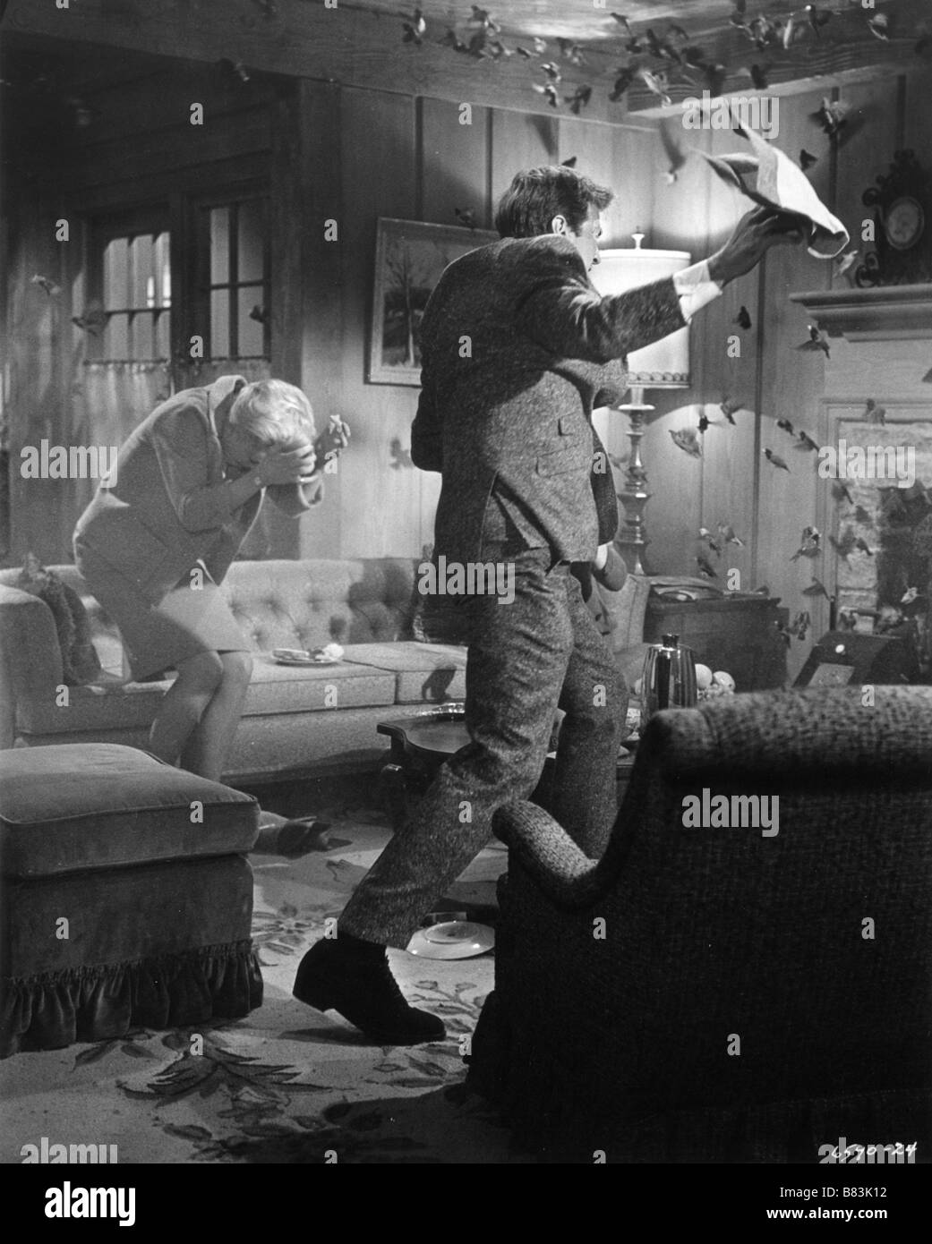 The Birds Year: 1963 - USA Rod Taylor , Tippi Hedren Director: Alfred ...