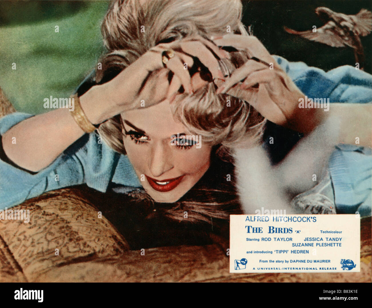 Woman birds hi-res stock photography and images - Alamy