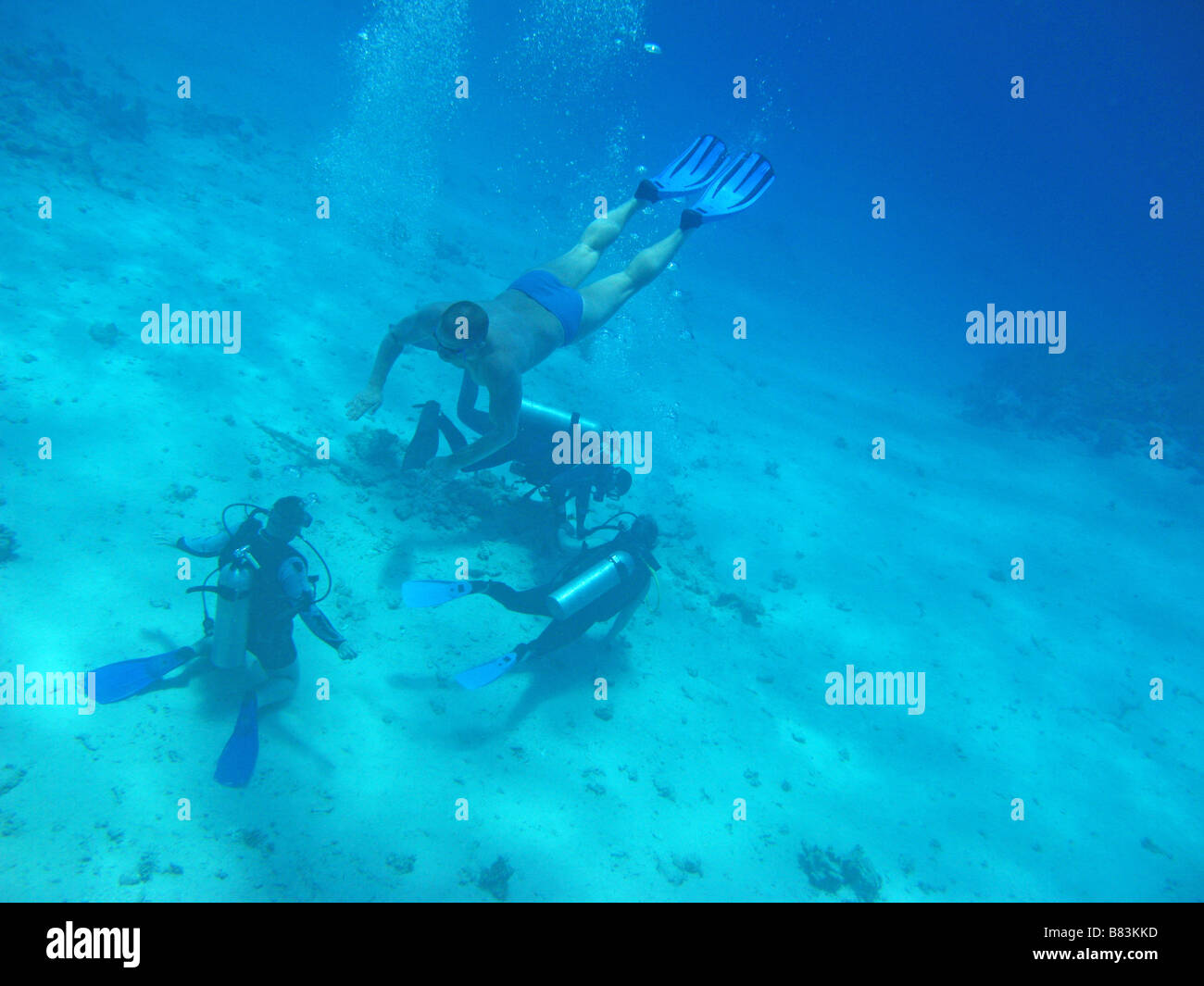 Deep sea bottom and swimming hi-res stock photography and images - Alamy