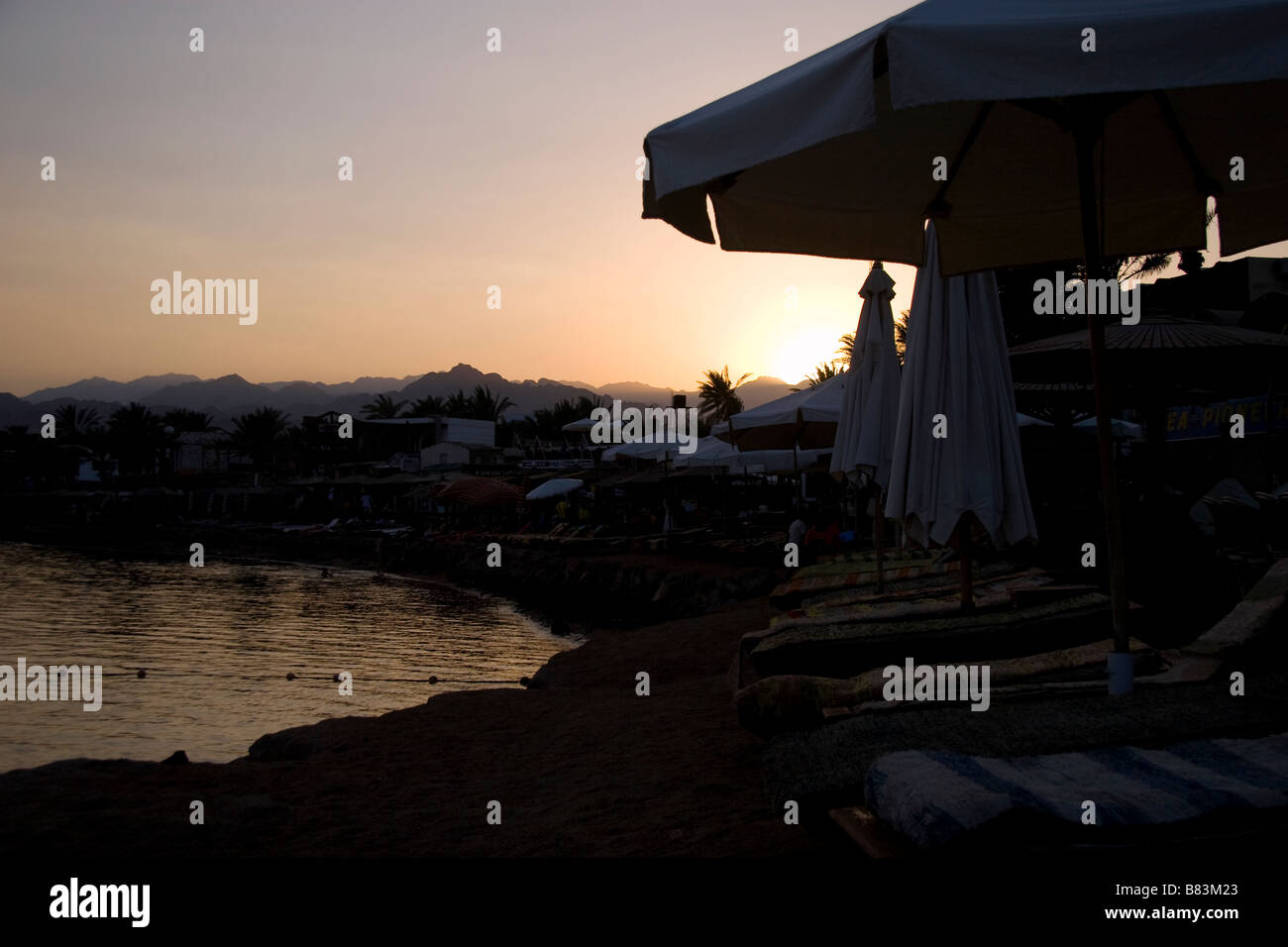 Sun loungers lined up on the beachfront area of Masbat at sunset in the ...