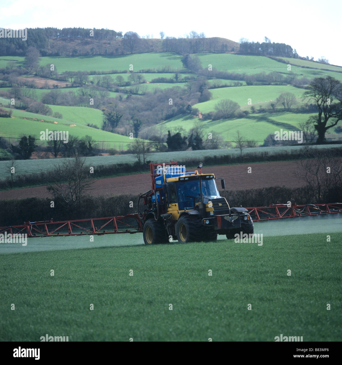 Fastrac tractor with mounted sprayer spraying young barley in early ...