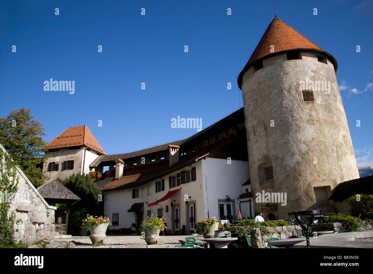 Medieval Bled Castle (Blejski Grad) perched on a steep cliff above Lake ...