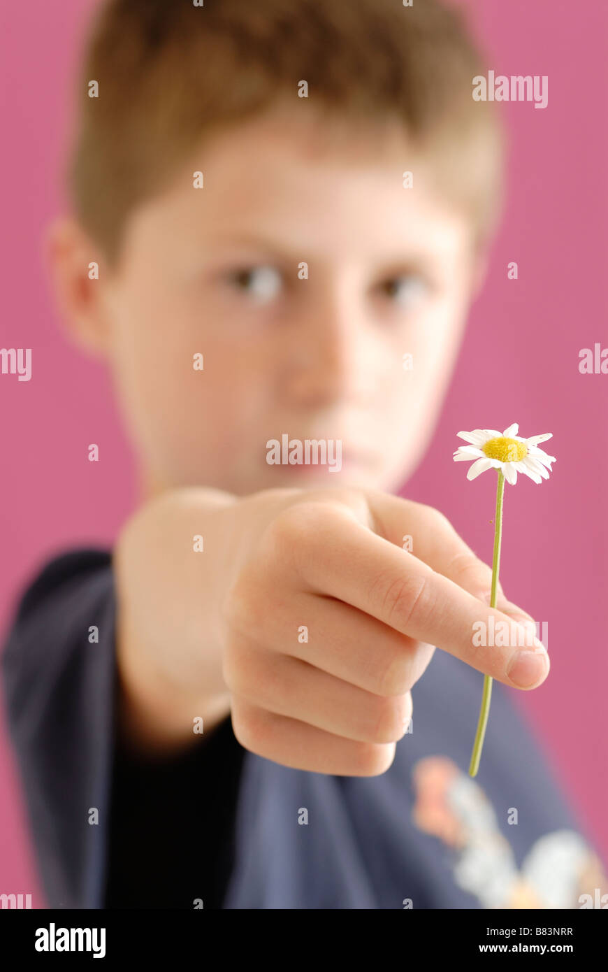 a boy holding a flower Stock Photo - Alamy