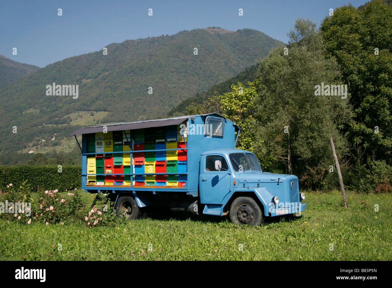 Mobile beehive hi-res stock photography and images - Alamy