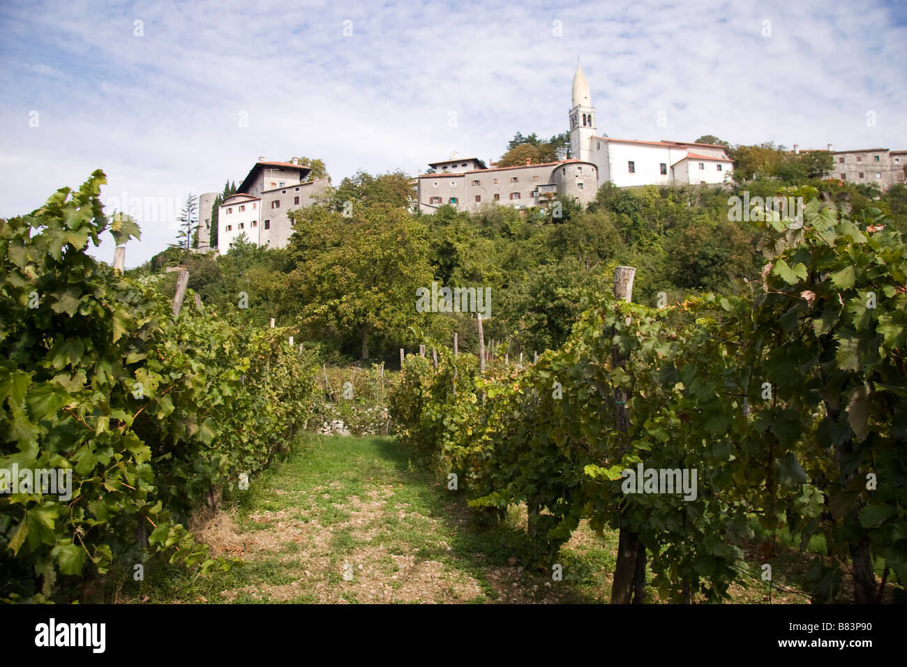 The village of Stanjel stands above vineyards overlooking the Vipava ...