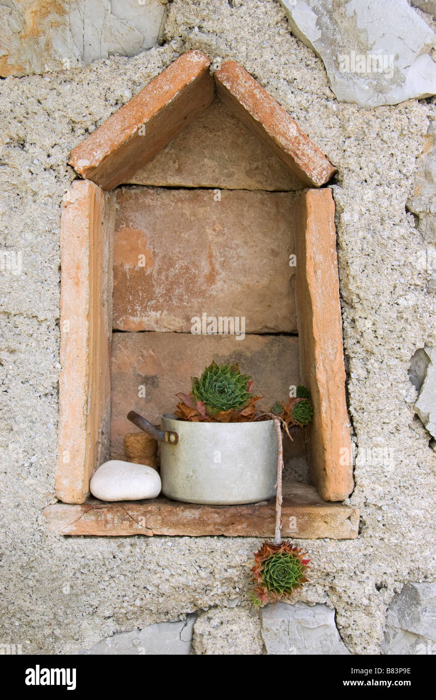 Niche plant hi-res stock photography and images - Alamy