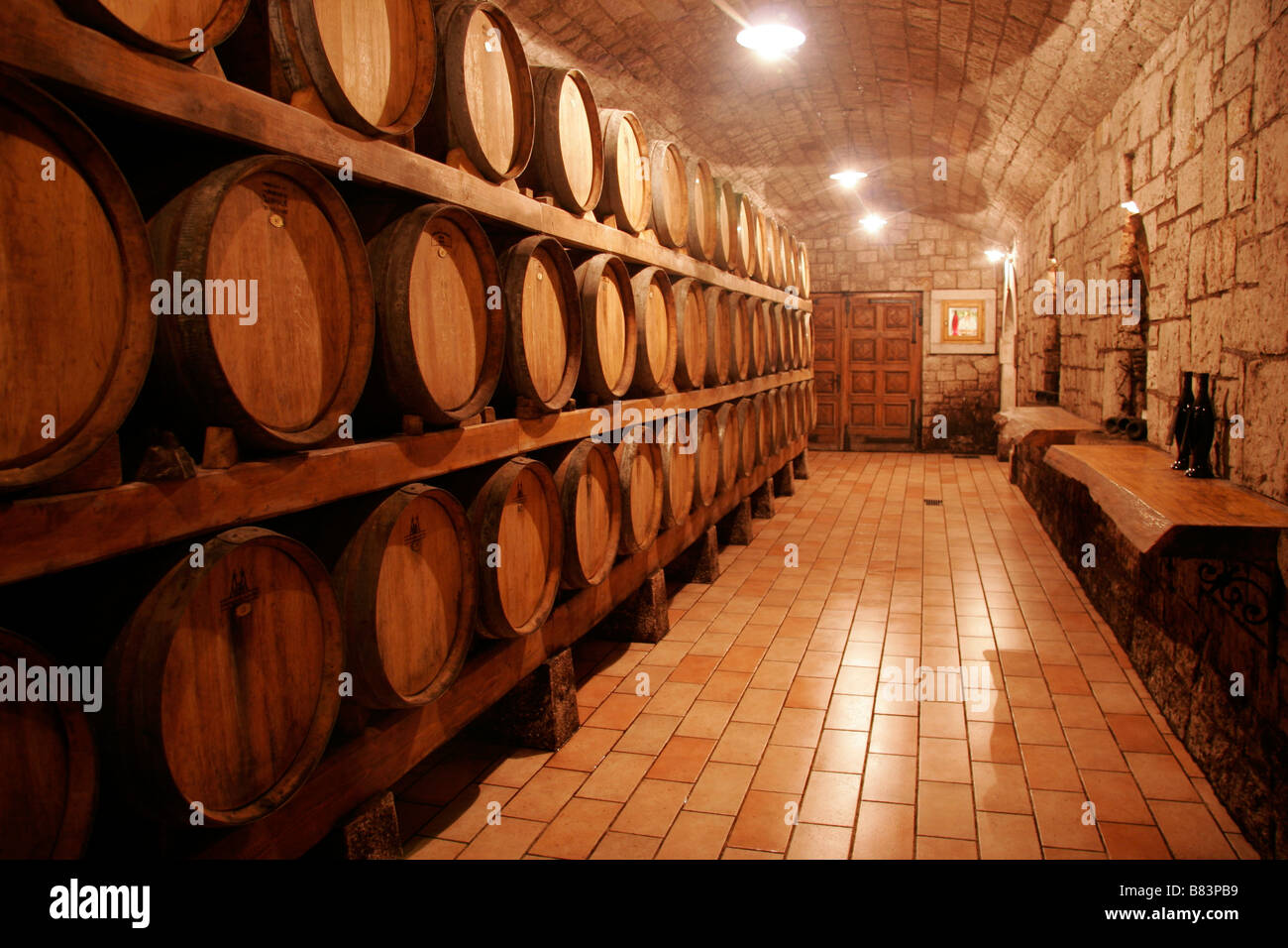 Lisjak vineyard cellar in Dutovlje, a small town overlooking Trieste in ...
