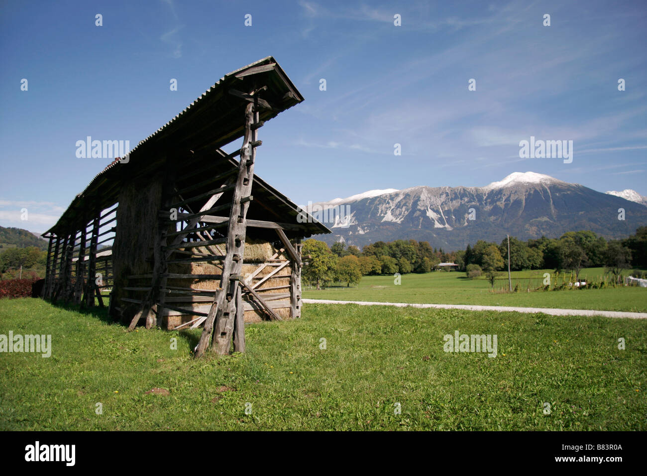 Hay drying rack on the outskirts of Bled in Gorenjska, Slovenia Stock ...