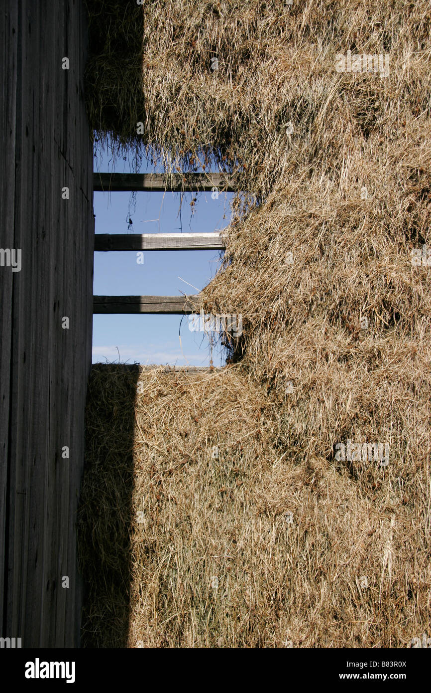 Hay drying rack on the outskirts of Bled in Gorenjska, Slovenia Stock ...