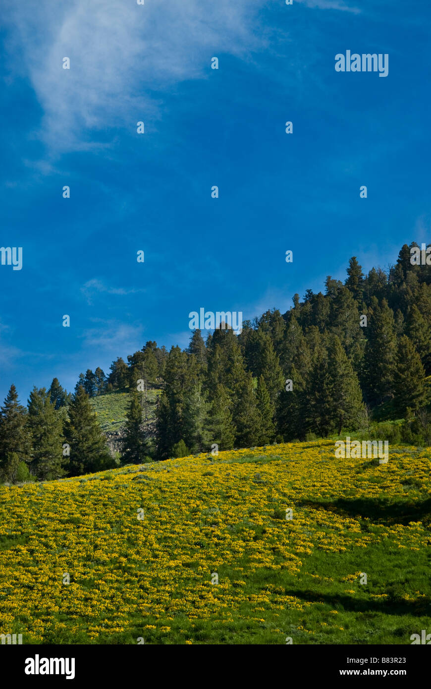 Sloping fields hi-res stock photography and images - Alamy