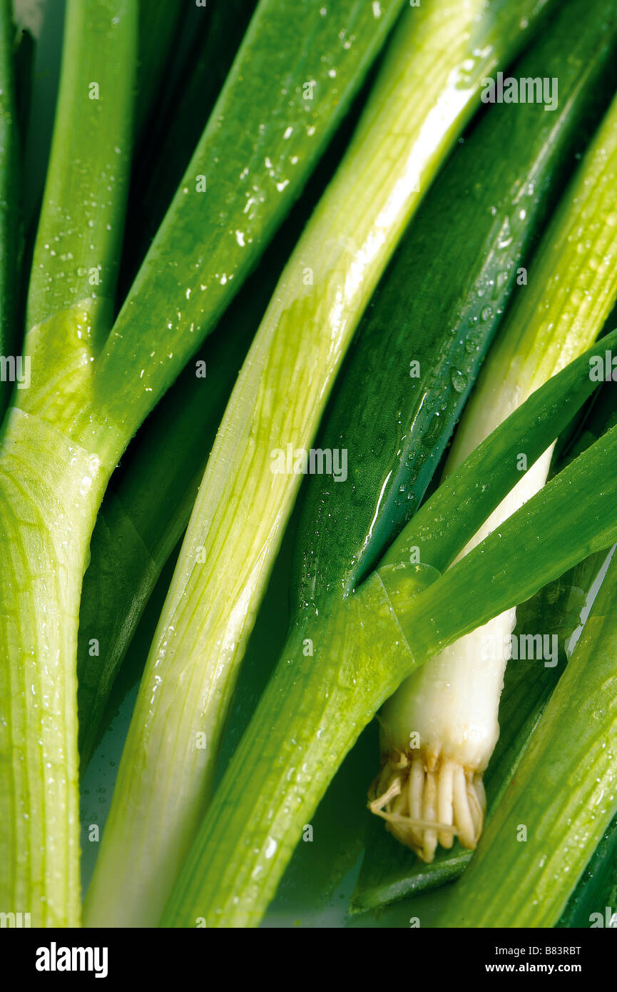 Spring onion onions hi-res stock photography and images - Alamy