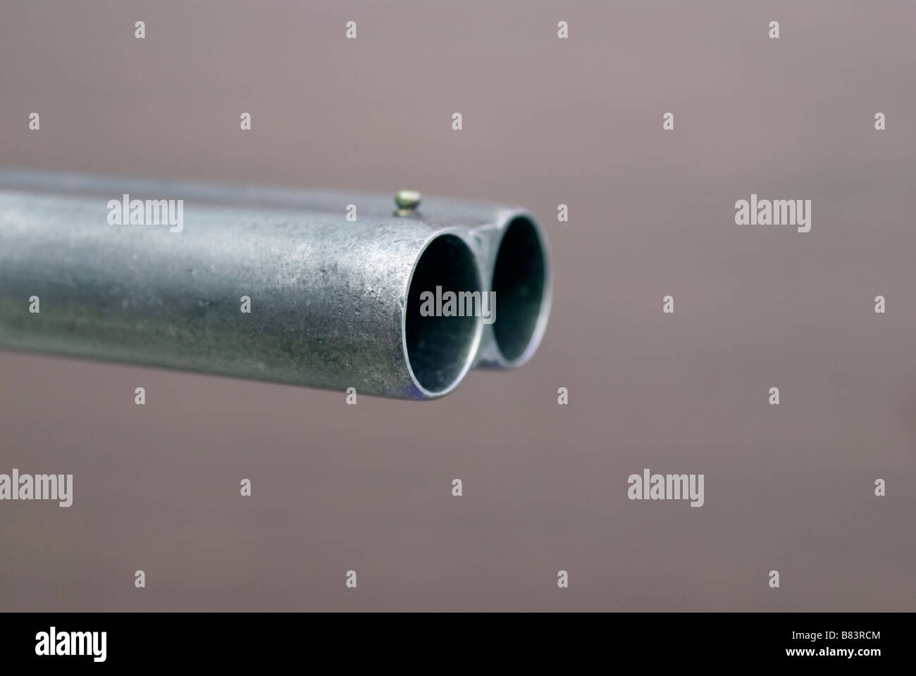 double barrels rifle Stock Photo - Alamy