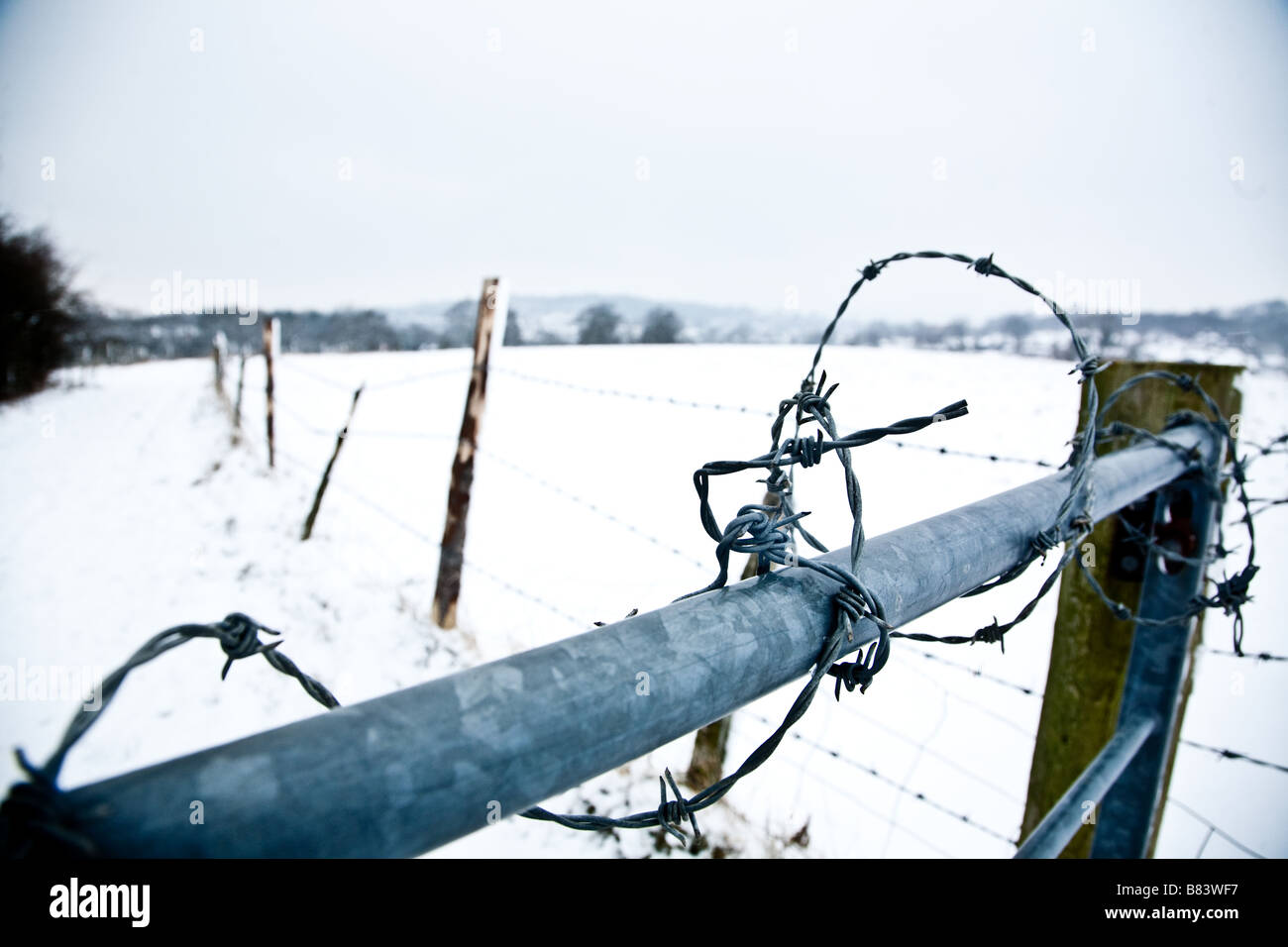 Barbed wire gate hi-res stock photography and images - Alamy