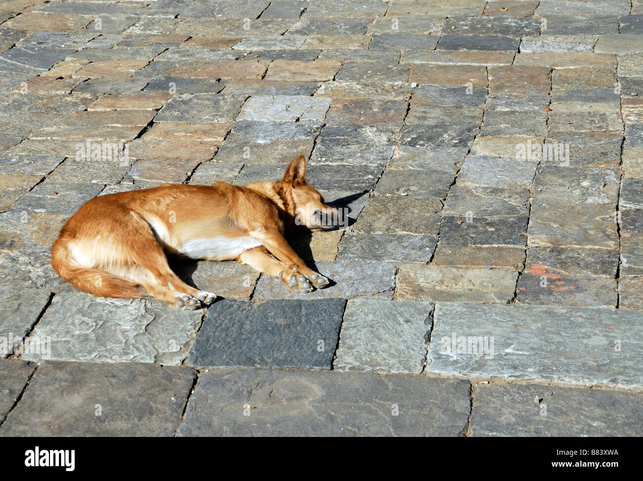 Sleep castle hi-res stock photography and images - Alamy