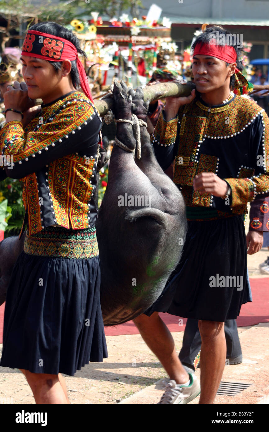 Local People in Traditional Dress and Wild Boar at Traditional Wedding ...