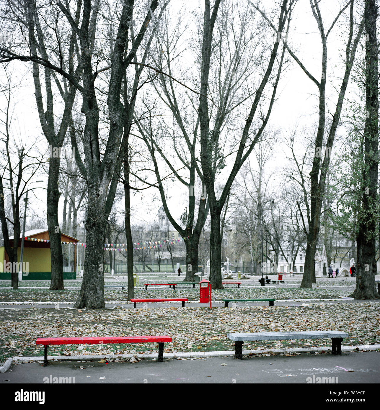 colored benches in park in moscow Stock Photo - Alamy