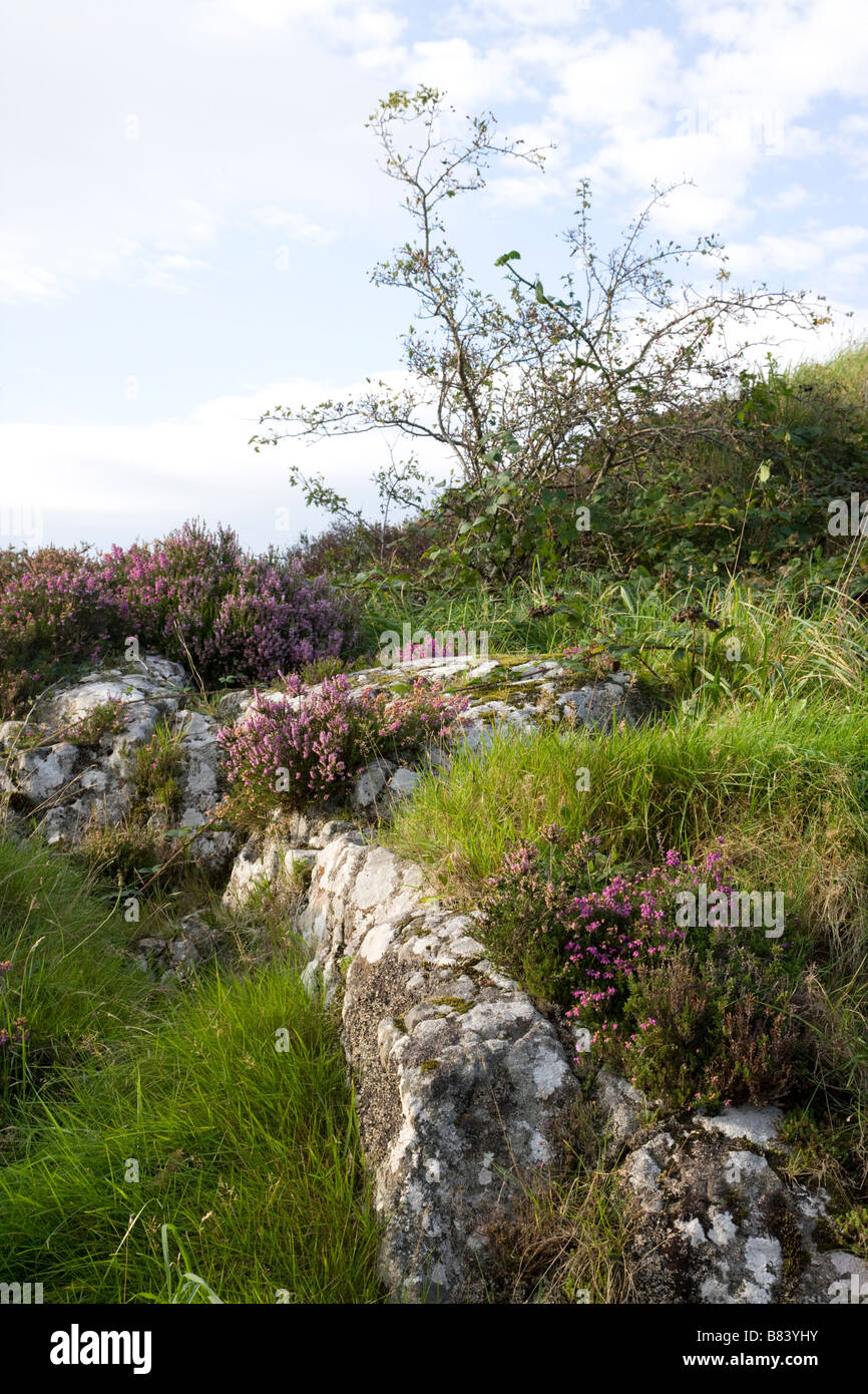 Irish rock hi-res stock photography and images - Alamy