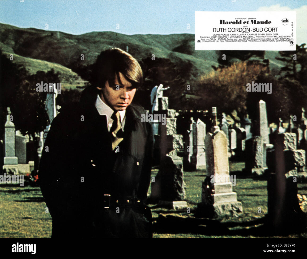 Bud cort hi-res stock photography and images - Alamy