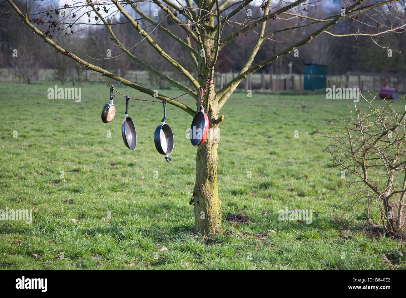 Pan pans hi-res stock photography and images - Alamy