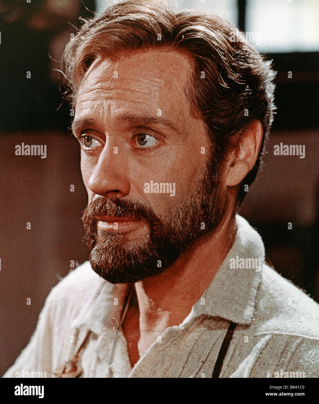 Salce hi-res stock photography and images - Alamy