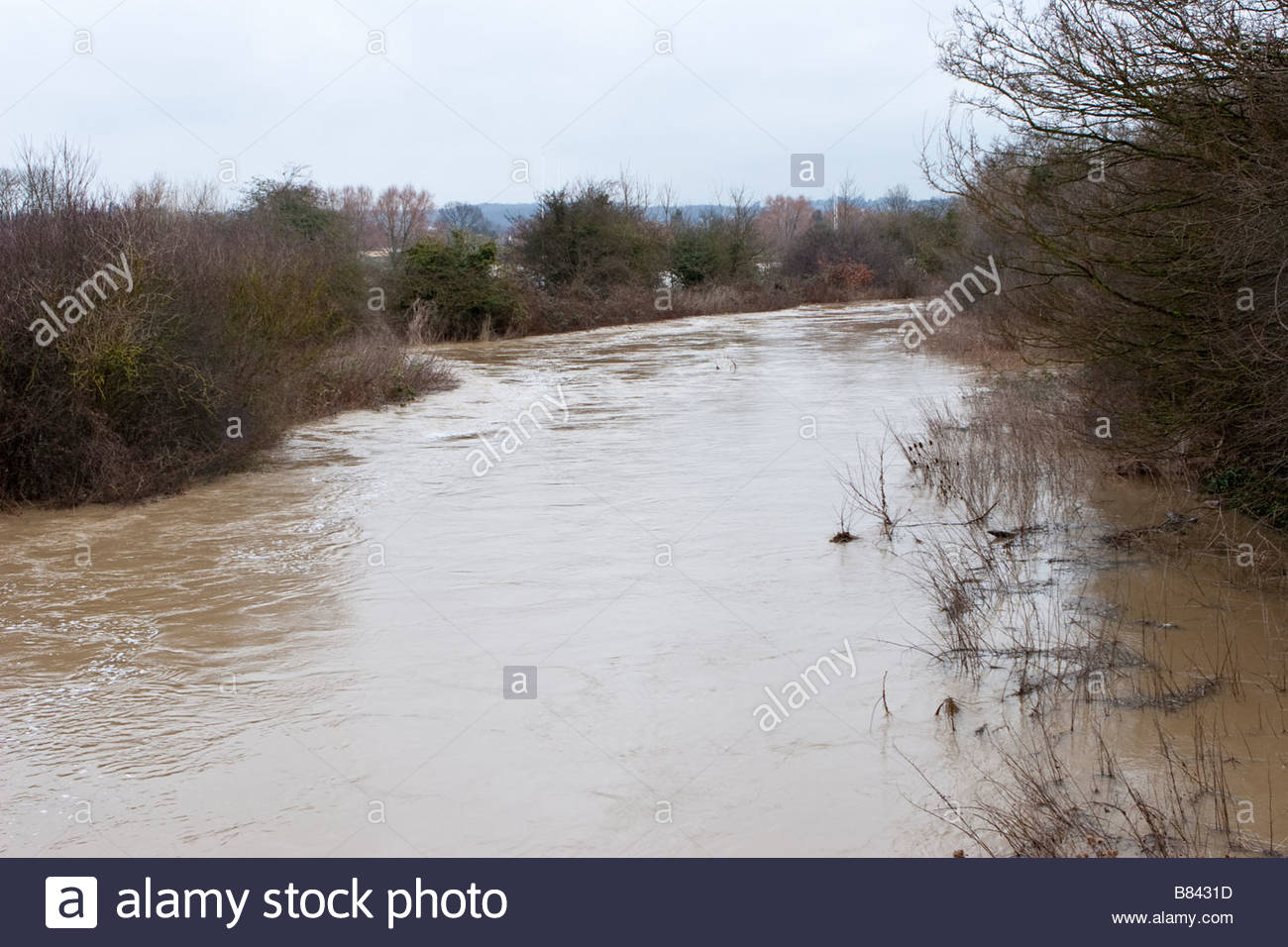 River Roding Essex High Resolution Stock Photography and Images - Alamy