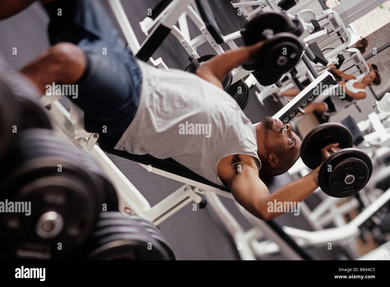 Male working out with weights in a health club Stock Photo - Alamy