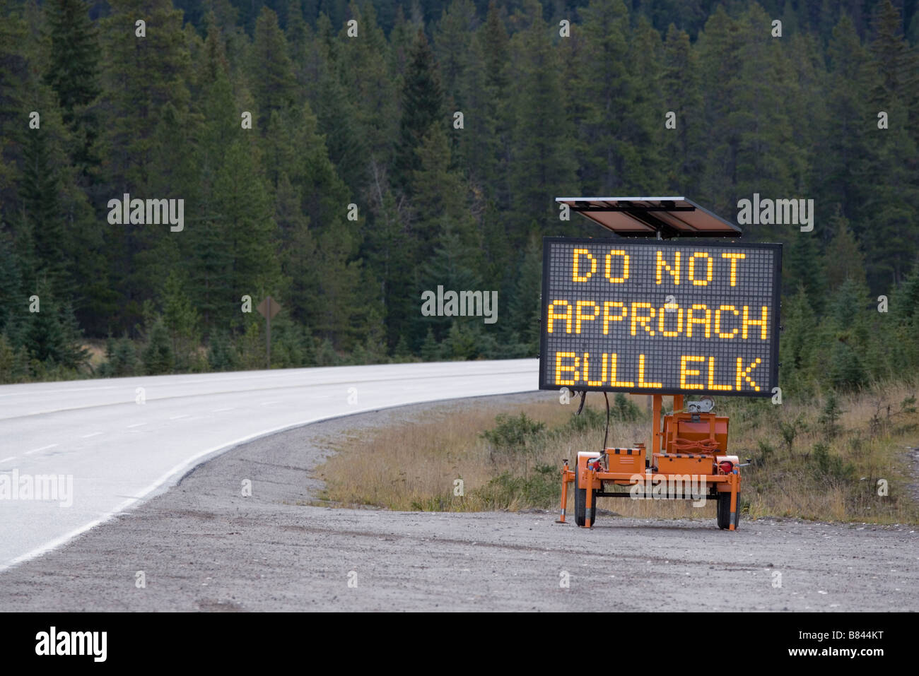 Temporary warning sign posted along highway during Elk rutting season ...