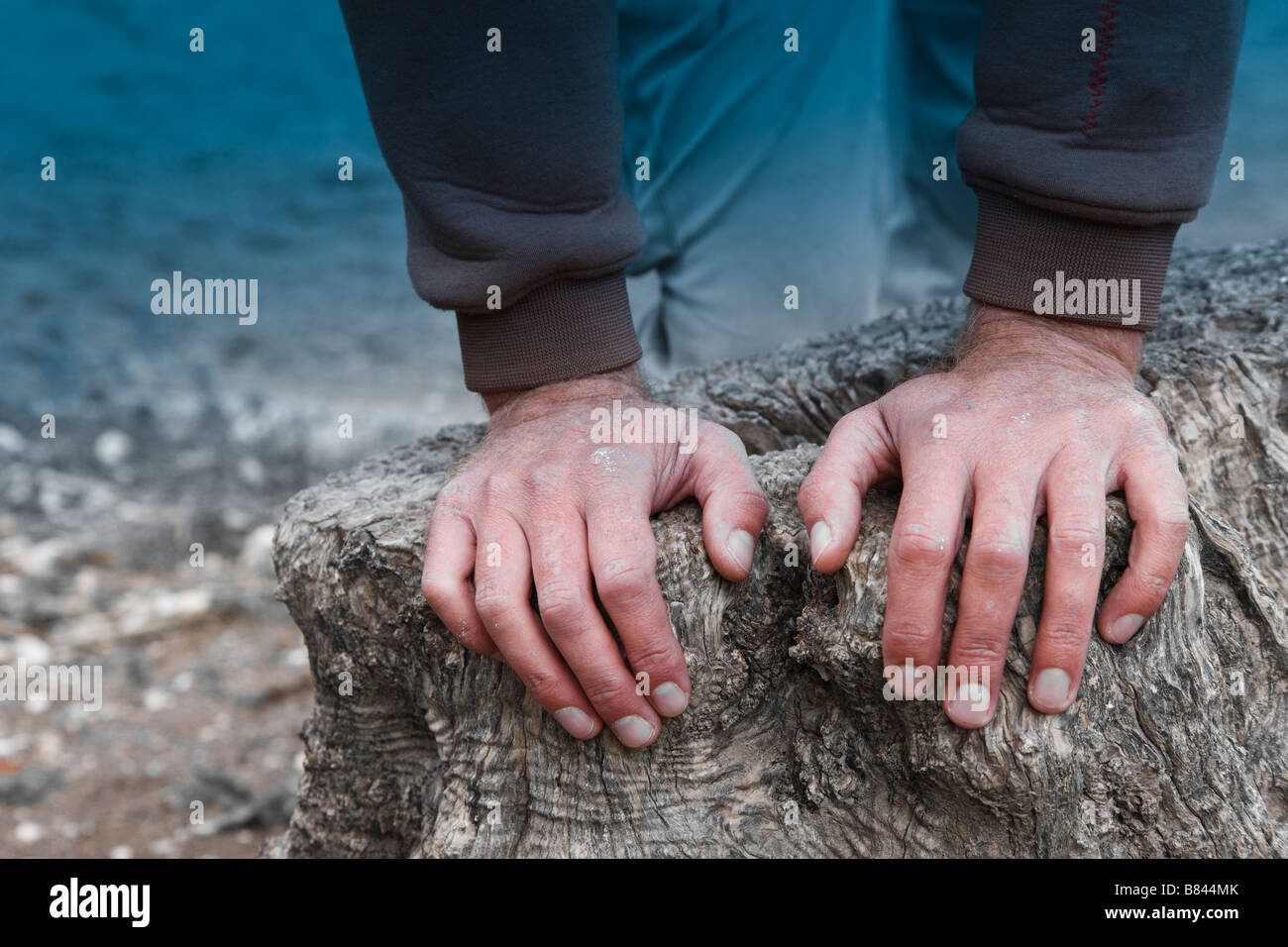 Two hands of a man leaning on a tree stump Stock Photo - Alamy