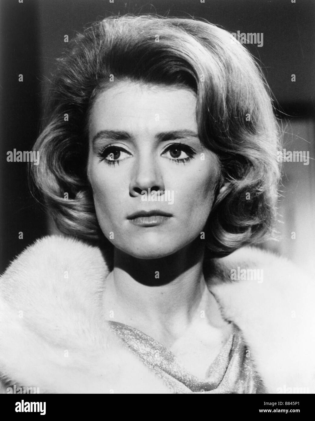 Inger stevens hi-res stock photography and images - Alamy