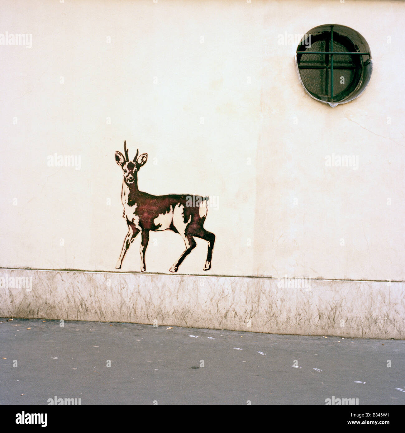 Graffiti of a dear on a wall Stock Photo - Alamy