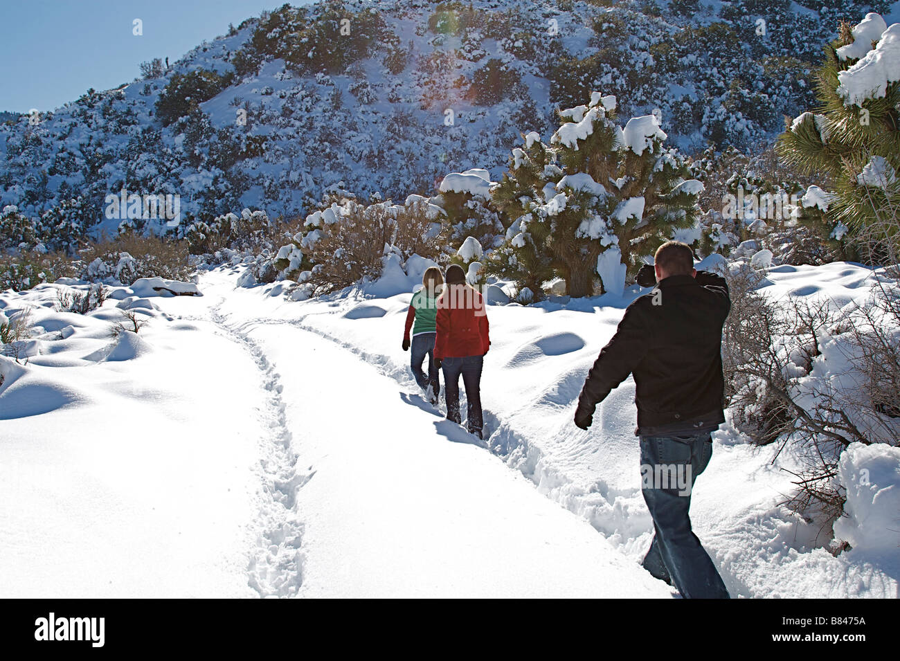 Young people enjoy a fresh snow fall Stock Photo - Alamy