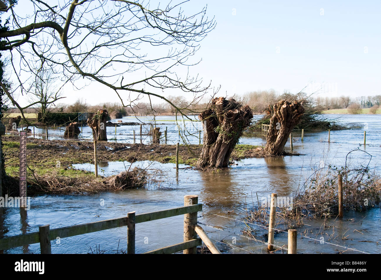 Field underwater hi-res stock photography and images - Alamy