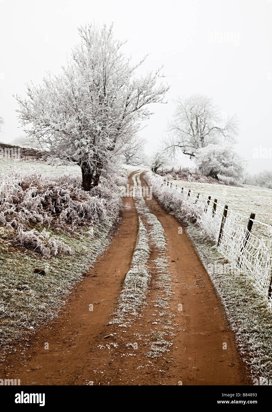 Farm track in winter with hoar frost on trees and fence Wales UK Stock ...