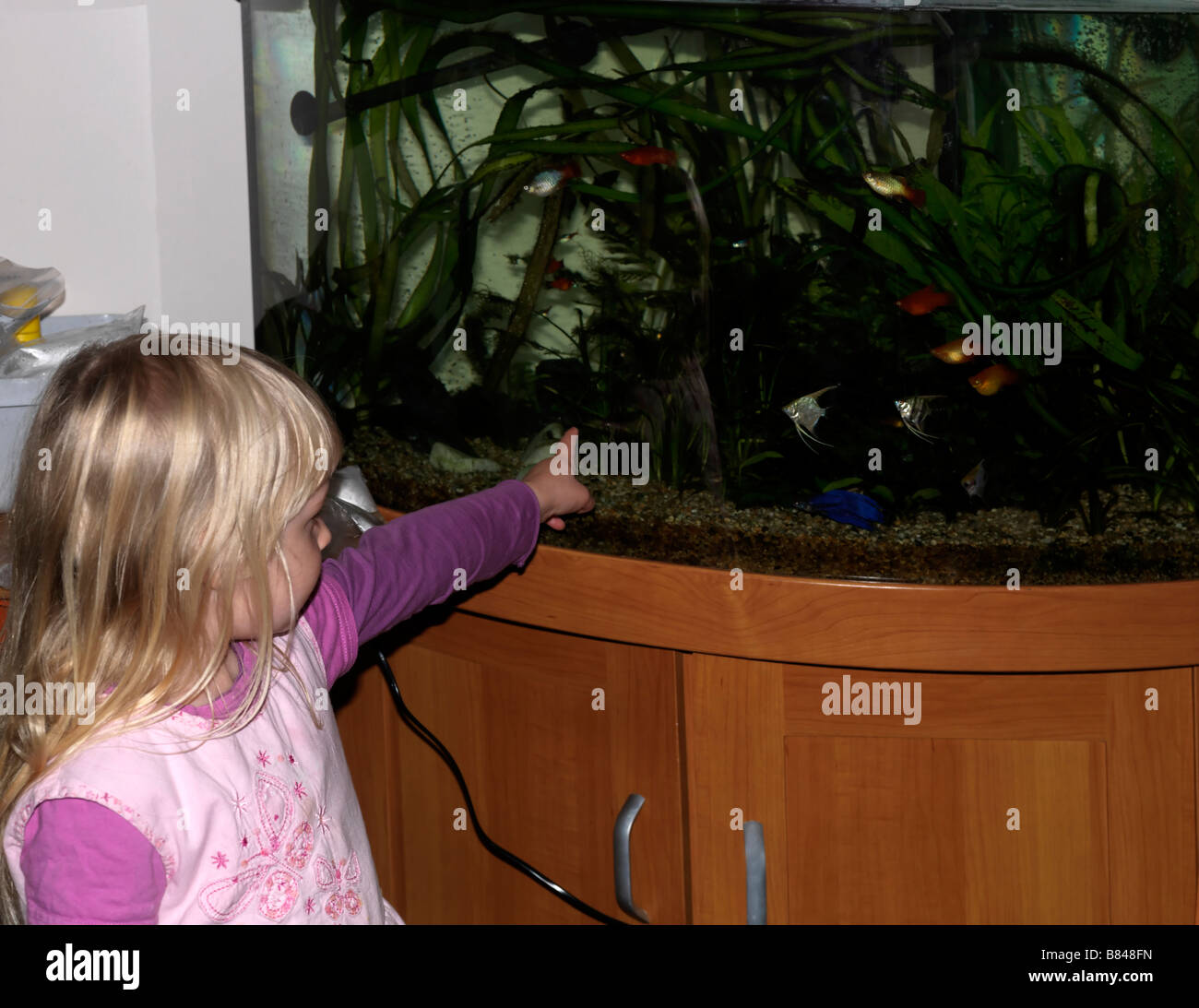 Child with Tropical Fish Tank In Living Room Stock Photo - Alamy