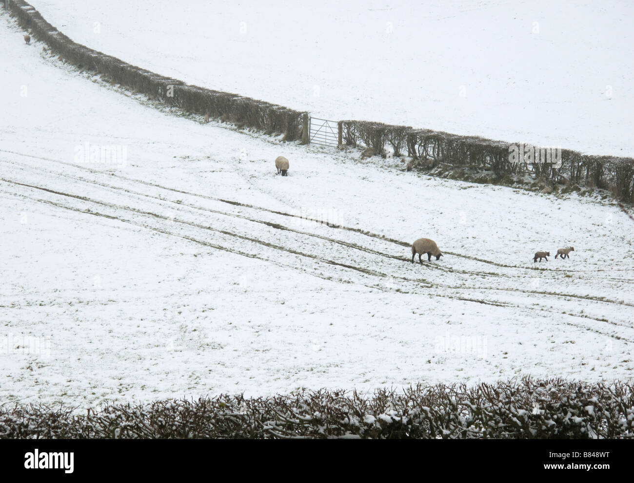 Llanover hi-res stock photography and images - Alamy