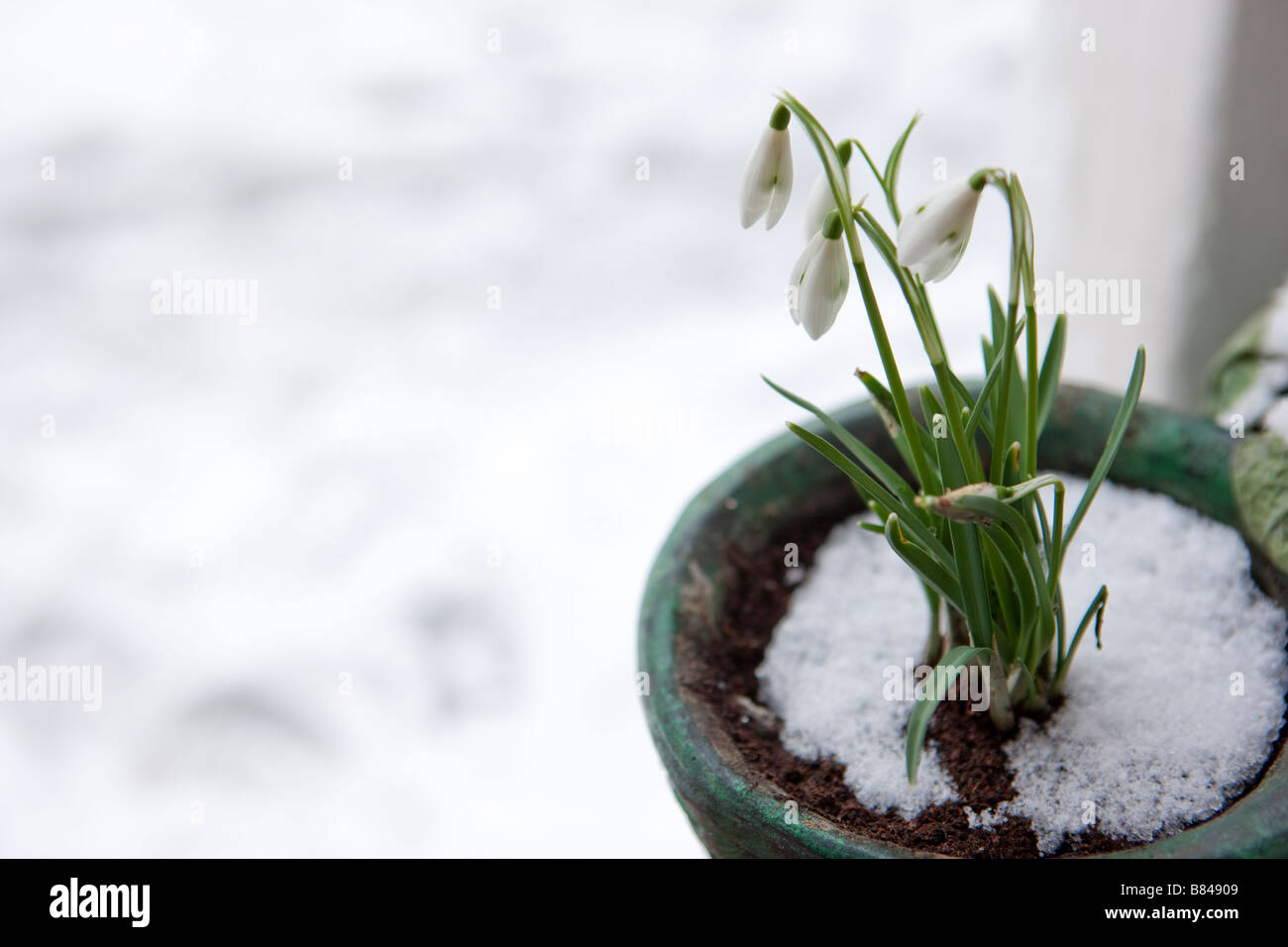 Covered pot hi-res stock photography and images - Alamy