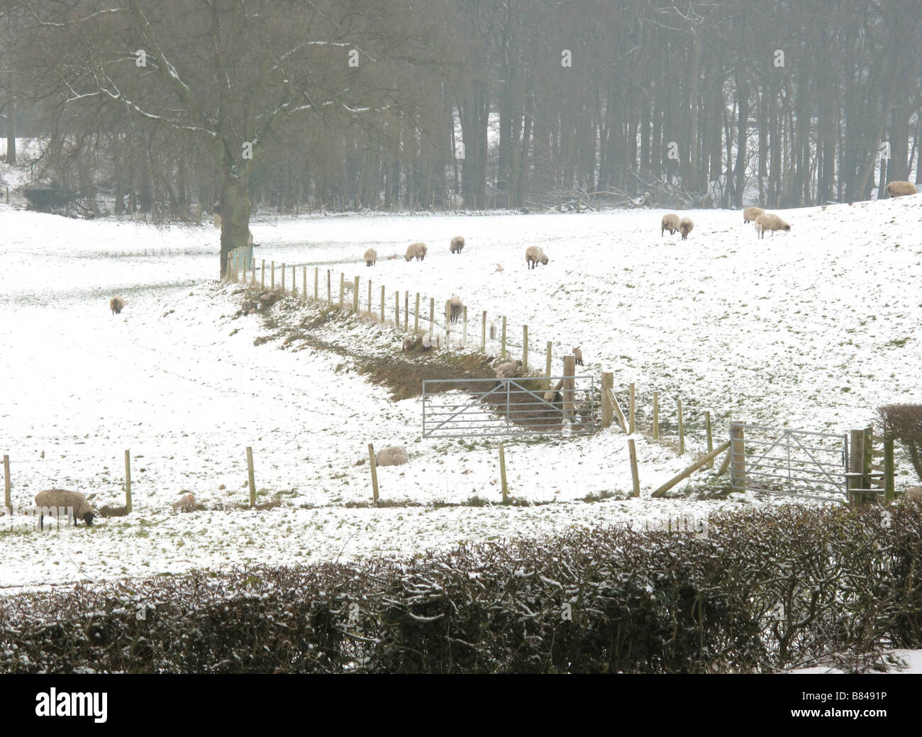 Llanover hi-res stock photography and images - Alamy