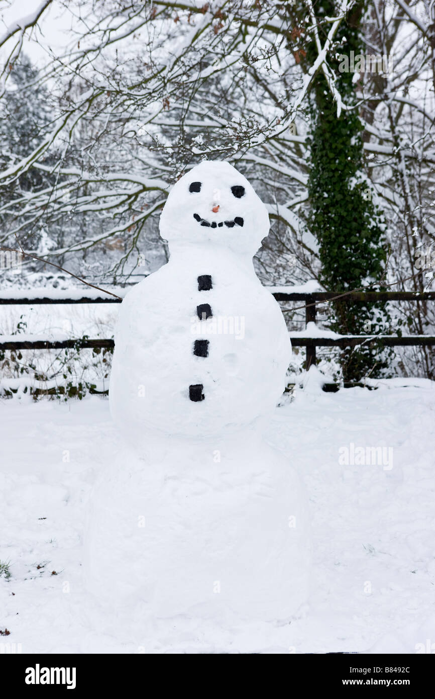 A snowman made with coal and a carrot Stock Photo - Alamy