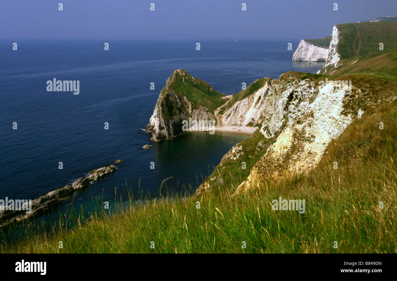 Bat’s head hi-res stock photography and images - Alamy