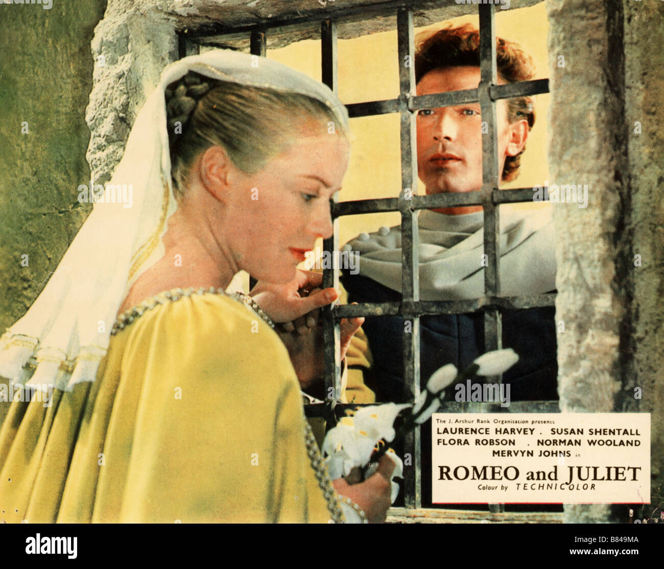 Susan shentall hi-res stock photography and images - Alamy