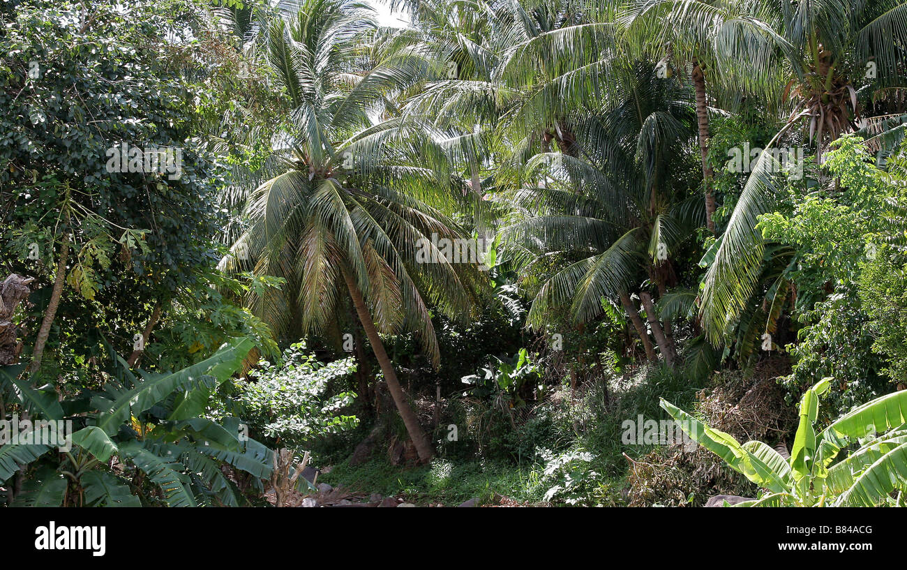 Bloody point st kitts hi-res stock photography and images - Alamy