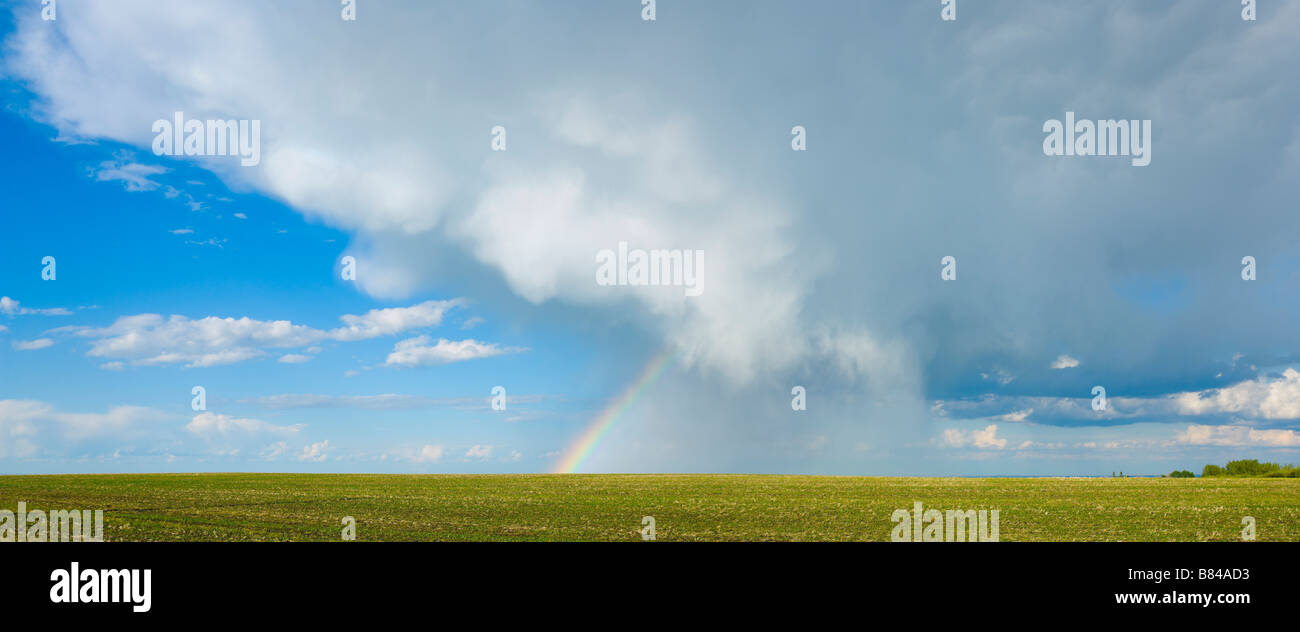 Storm cloud and rainbow over a field, Alberta, Canada Stock Photo - Alamy