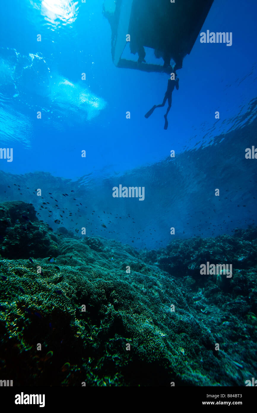 Free divers hanging off small Indonesian boat Stock Photo - Alamy