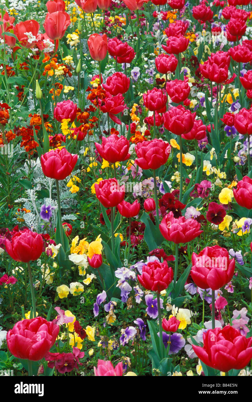 Springtime in paris hi-res stock photography and images - Alamy