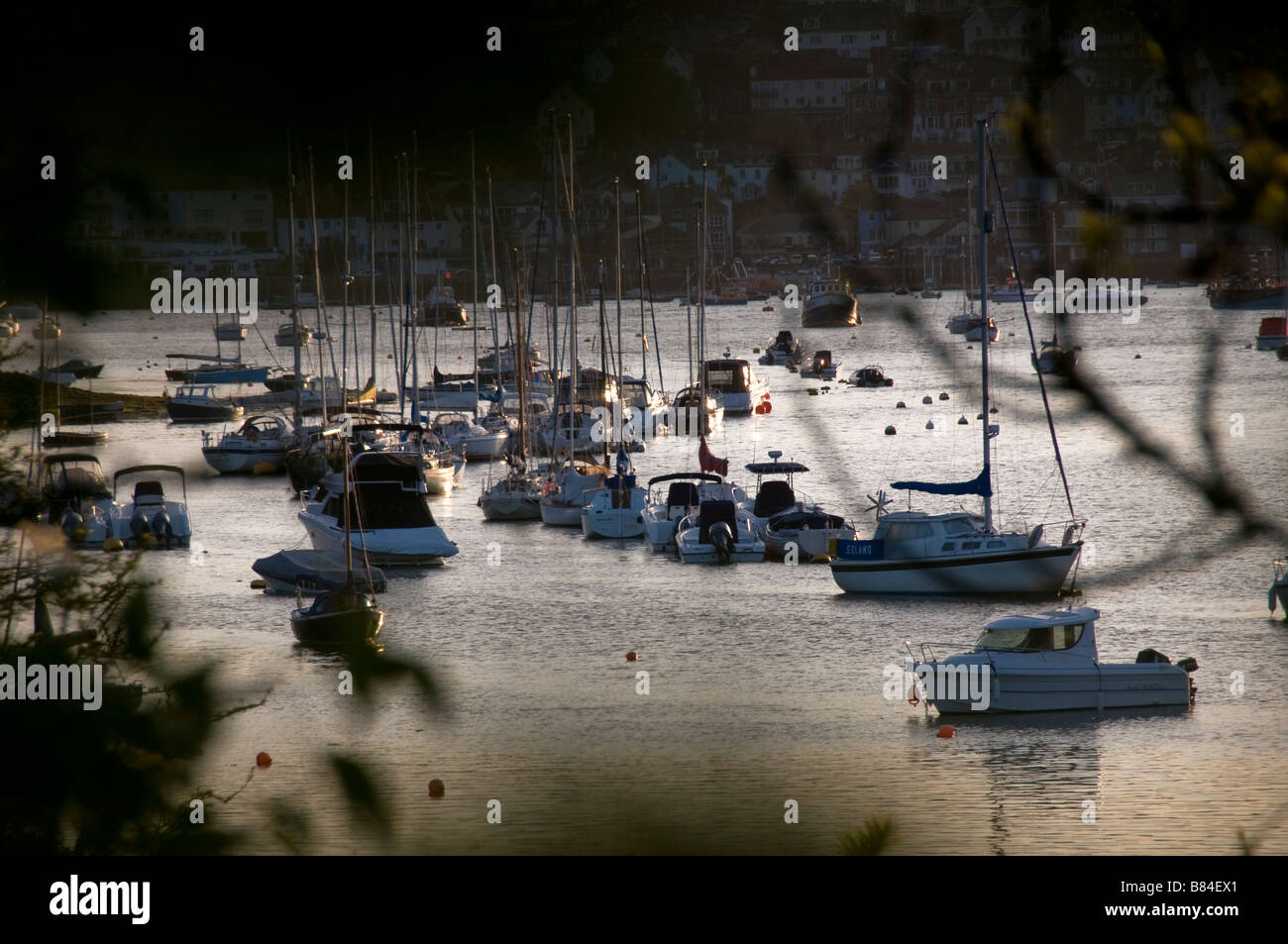 Salcombe devon boat hi-res stock photography and images - Alamy