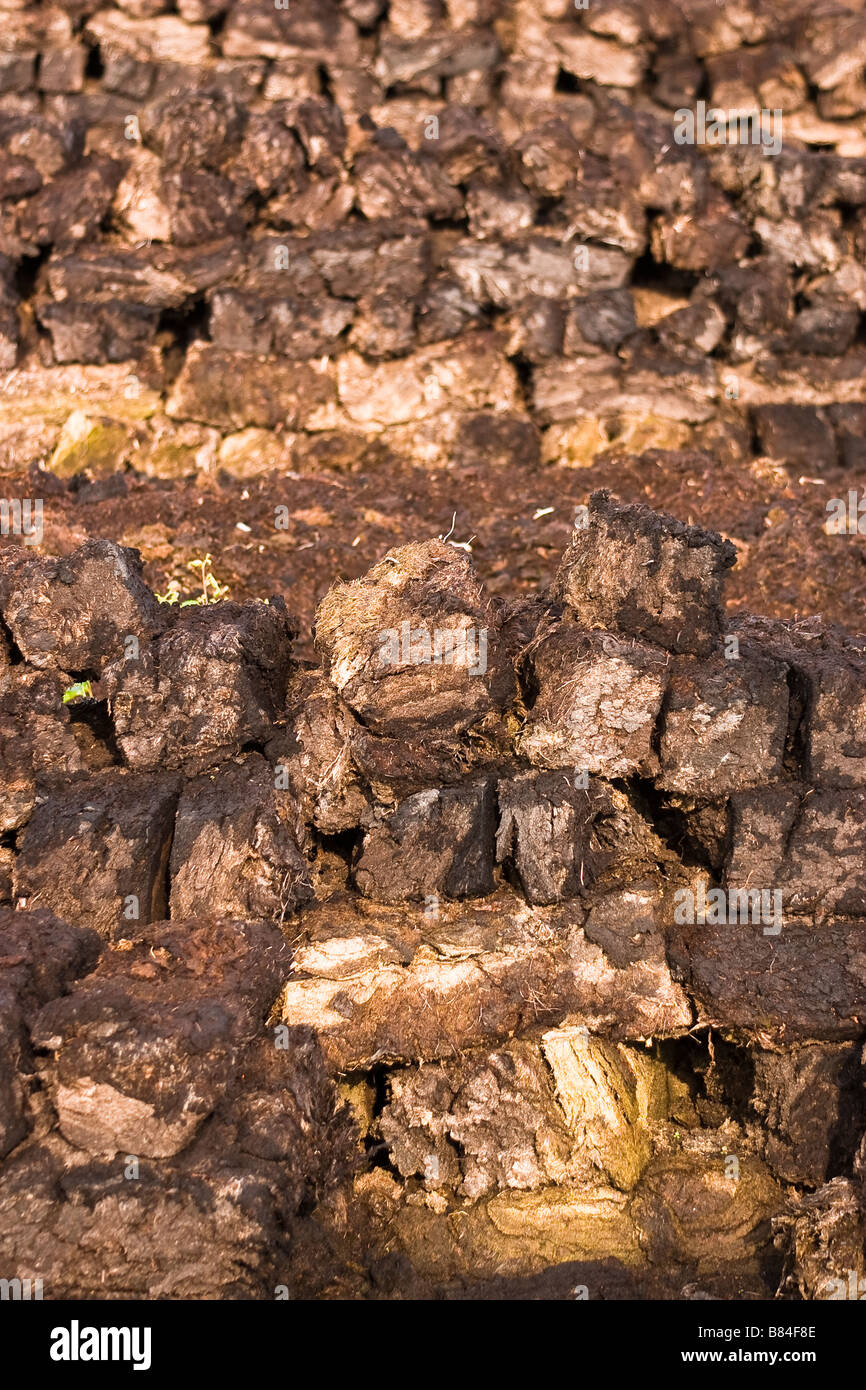 Peat texture hi-res stock photography and images - Alamy