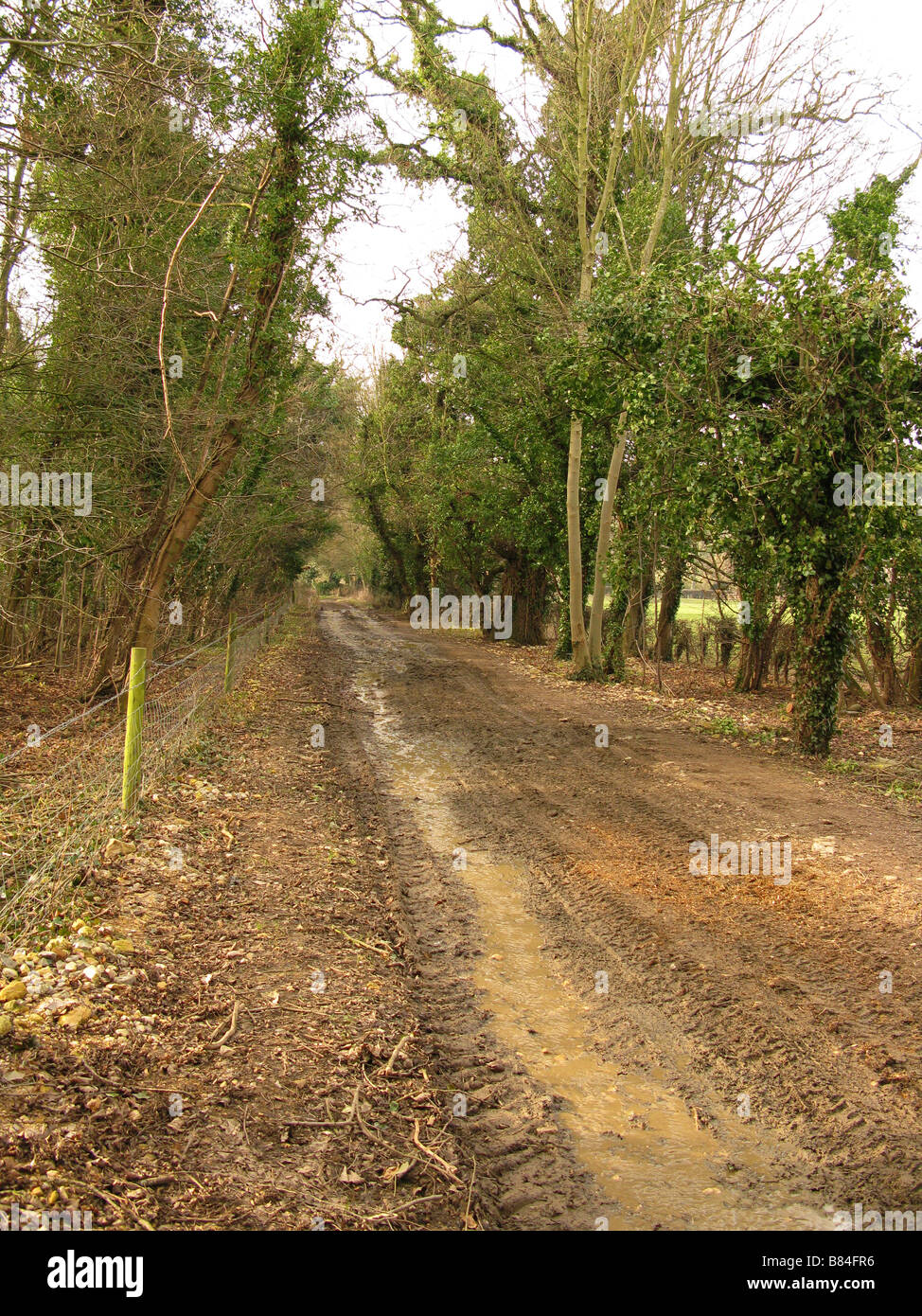 Muddy Track Stock Photos & Muddy Track Stock Images - Alamy