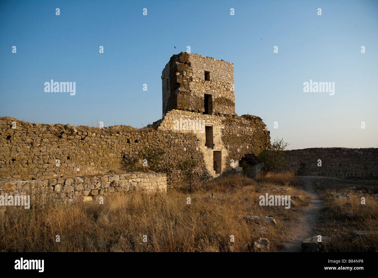 Ancient ruins on a deserted land Stock Photo - Alamy